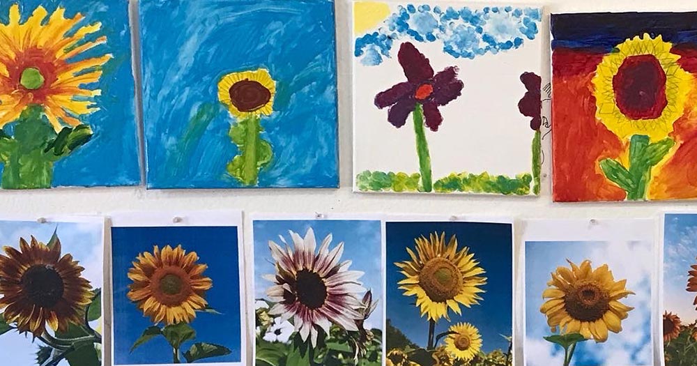 artstream summer art camps for children and adults